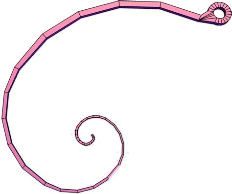 100 Fibonacci Spiral Png Images Wallpapers Com