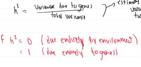 Cognition Flashcards Quizlet Cognition Flashcards Quizlet