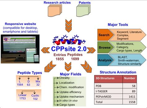 Cppsite 20 A Repository Of Experimentally Validated Cell Penetrating