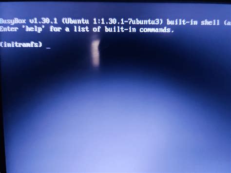 Booting Error Rlinuxmint