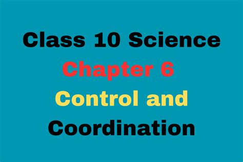 Control And Coordination Class Chapter MCQ Online Available THE EDUCATION PLANET