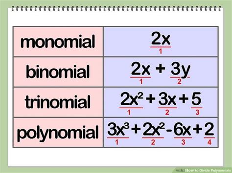 Polynomial Expression