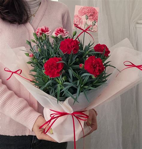 도시정원 공릉꽃집 노원꽃집 서울과기대꽃집 공트럴파크 이색꽃다발 어버이날 스승의날 카네이션 꽃다발 꽃배달 19카네이션화분