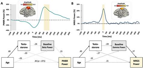 PMBR And MRGS Responses Top Brain Images Show That A The PMBR Download Scientific Diagram