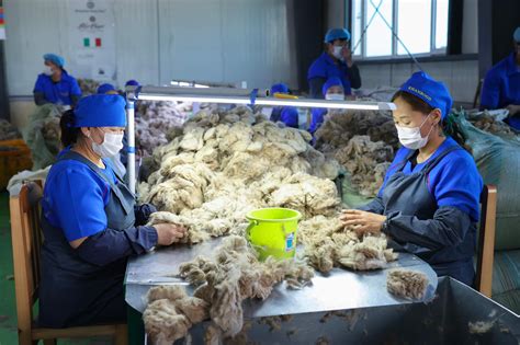 Үндэсний үйлдвэрлэгч аж ахуйн нэгжүүд “Хүнсний хувьсгал” д нэгдсээр байна Хүнсний хувьсгал