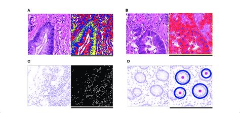 typical feature extraction result a gmm model for image