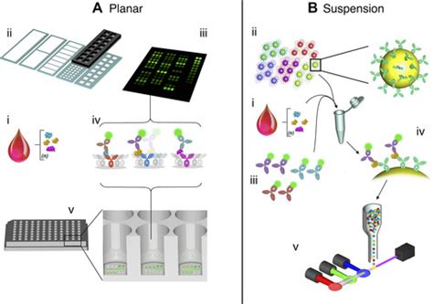 Multiplex Formats In Common Use Include Planar Based Assays Or