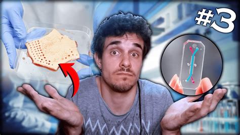 ¿hay Alternativas A La Experimentación Animal ǀ Experimentación Animal