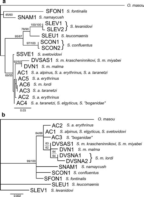 Ml Trees For Salvelinus Species Based On A Its1 Haplotypes And