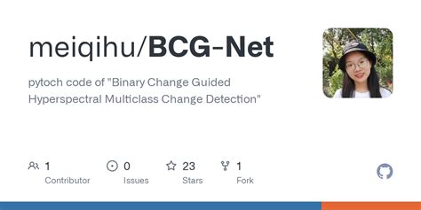 Bcg Net Maincode Py At Main · Meiqihu Bcg Net · Github