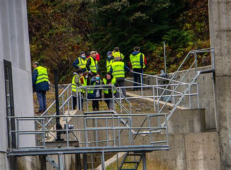 ლახამი ჰესის საპროექტო ტერიტორიაზე 3000 ნერგი დაირგო გურიის მოამბე
