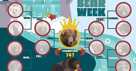 Fat Bear Week Champion ‘22 Album On Imgur