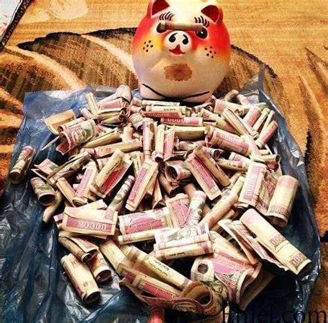 мөнгөний гахай