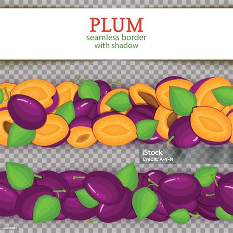 익은 매 가로 완벽 한 국경입니다 벡터 일러스트 레이 션 카드입니다 Juisy 자 두 과일와 끝 없는 스트립 넓고 좁은 투명 한 전체 및 조각 나뭇잎 그림자 무한 한 과일