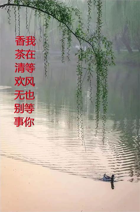 陈珞珈网 杏林春秋