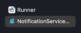 Ios Flutter Project In XCode Multiple Commands Produce