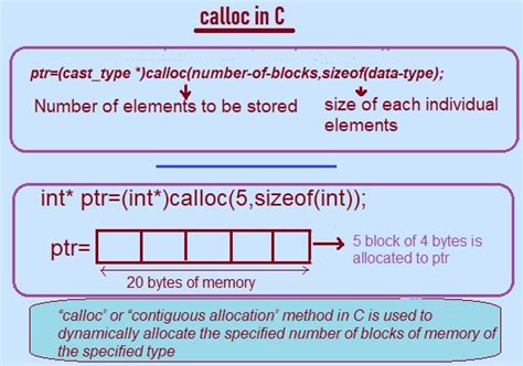 Calloc In C Your Simple Guide To Dynamic Memory Allocation