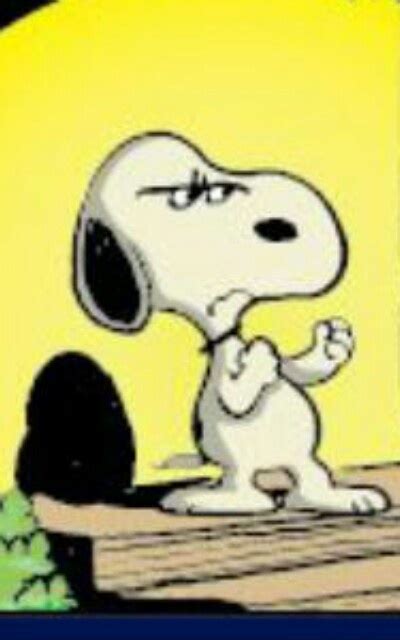 Put Em Up Snoopy Love Snoopy Pictures Peanuts Cartoon