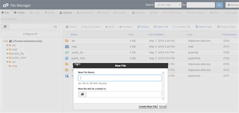 Cpanel File Manager Tutorial Web Hosting World