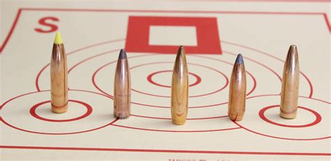 Protected Tip Bullet