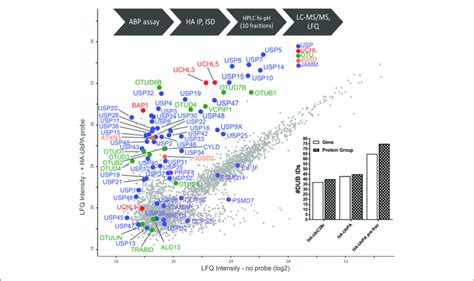Full Dubome Coverage By Advanced Chemoproteomics Scatter Plot