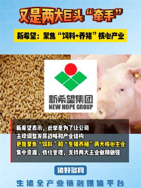 重磅!新希望六和出售禽产业新希望六和饲料生猪新浪新闻 重磅!新希望六和出售禽产业新希望六和饲料生猪新浪新闻