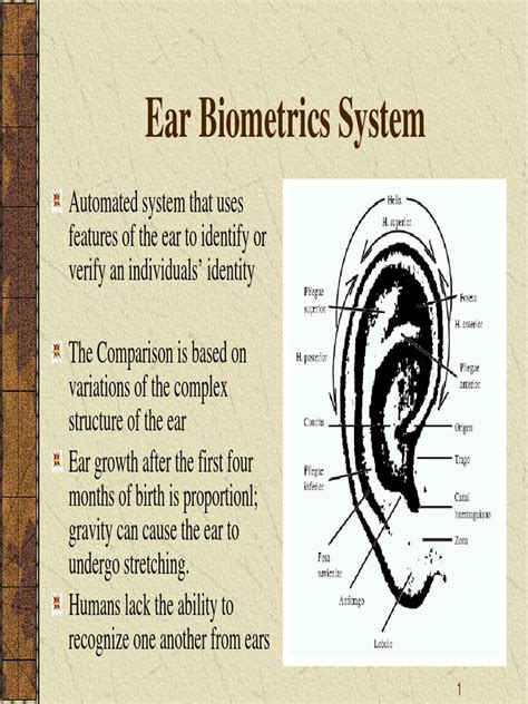Ear Recognition Pdf Biometrics Principal Component Analysis