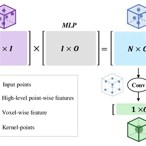 The Extraction Of Voxel Wise Featuregreen And Highlevel Point Wise