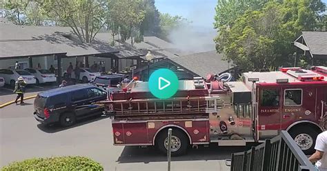 We Interrupt Your Daily Kittens With A Fire Album On Imgur