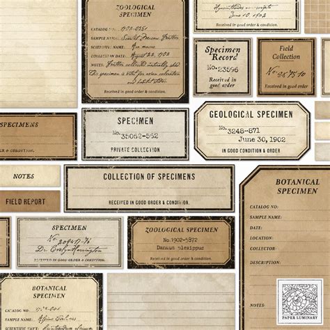 Vintage Science Labels Printable Ephemera For Junk Journals Digital