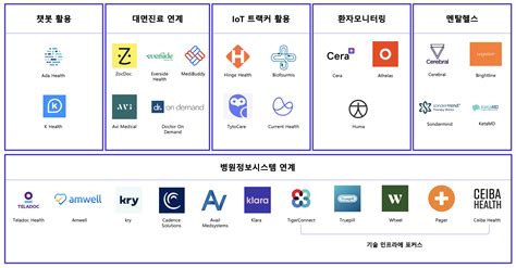 원격의료 글로벌 원격의료 비즈니스 모델 현황 분석 로아ai