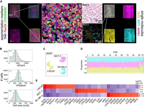 Stamp Single Cell Transcriptomics Analysis And Multimodal Profiling Through Imaging Cell