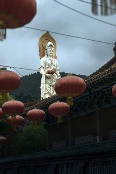 灵山寺观音像图片素材 灵山寺观音像设计素材 灵山寺观音像摄影作品 灵山寺观音像源文件下载 灵山寺观音像图片素材下载 灵山寺观音像背景素材 灵山
