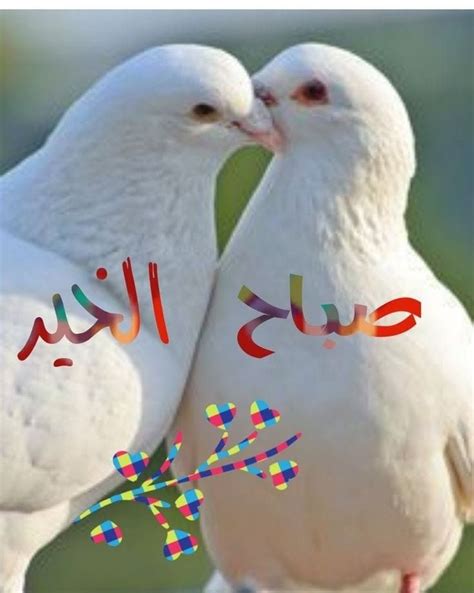 Pin by Istvánné Balogh on Hadasa Good morning images flowers Good morning arabic Good