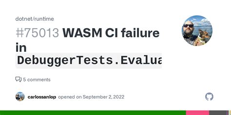 Wasm Ci Failure In Debuggertests Evaluateoncallframetests Inheritedandprivatemembersinaclass