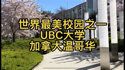 世界最美校园之一 Ubc大学 加拿大温哥华 Youtube