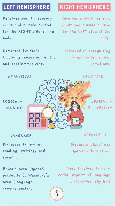 Left And Right Hemisphere Your Brain Is A Powerhouse Of Creativity And
