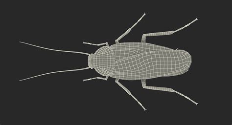 Cockroach Killer With Cockroach Collection 3d Model 89 3ds Obj Max C4d Ma Free3d