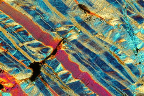 Serpentinized Peridotite Lm Stock Image C050 2629 Science Photo