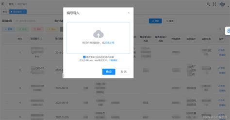 若依导入功能导入数据详细教程保姆级教程 CSDN博客