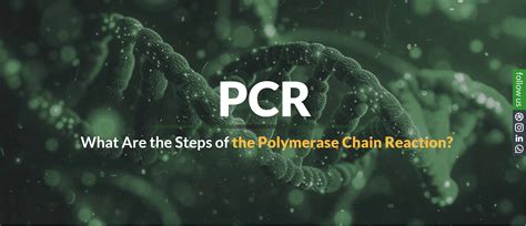 Pcr Cycling Process Three Main Steps Denagene