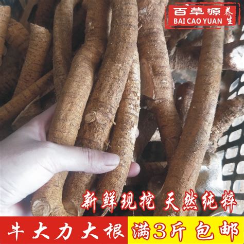 野生牛大力木质大根鲜条500g新鲜大力薯根茎泡酒煲汤料金钟根包邮 虎窝淘