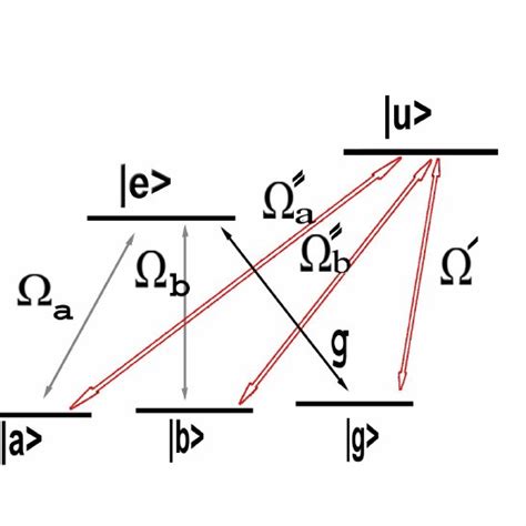 atom field linkage pattern download scientific diagram