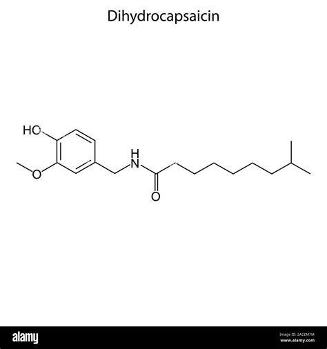 Skeletal Formula Of Dihydrocapsaicin Chemical Molecule Stock Vector