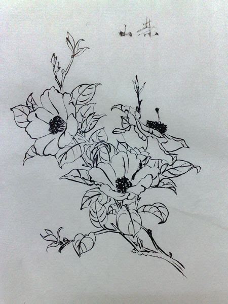 国画工笔线稿 工笔画猫 竹子工笔画 大山谷图库