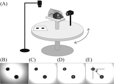 Schema For Analyzing Three Dimensional Rotation Vectors Of Eye Download Scientific Diagram
