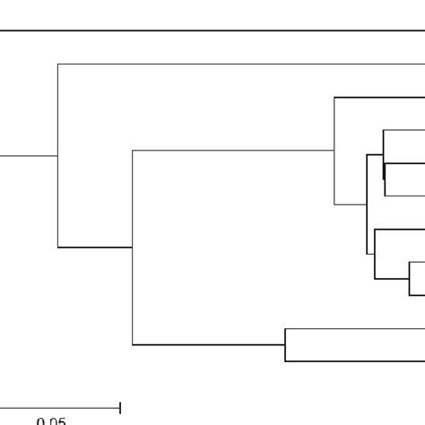 Upgma Unweighted Pair Group Method With Arithmetic Mean Clustering