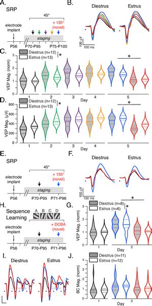 Visual Evoked Potentials Plos One