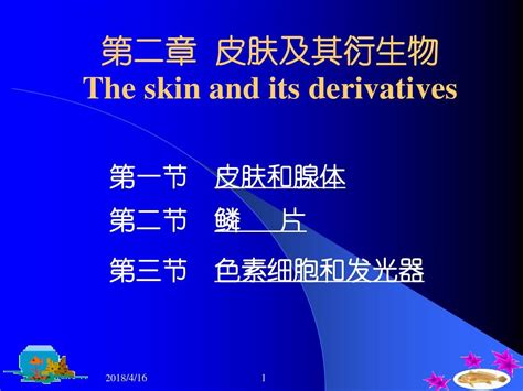 2018年学习鱼类学 皮肤及其衍生物教材课件PPT word文档在线阅读与下载 无忧文档
