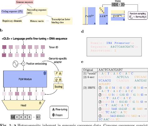 Figure 1 From Efficient And Scalable Fine Tune Of Language Models For Genome Understanding